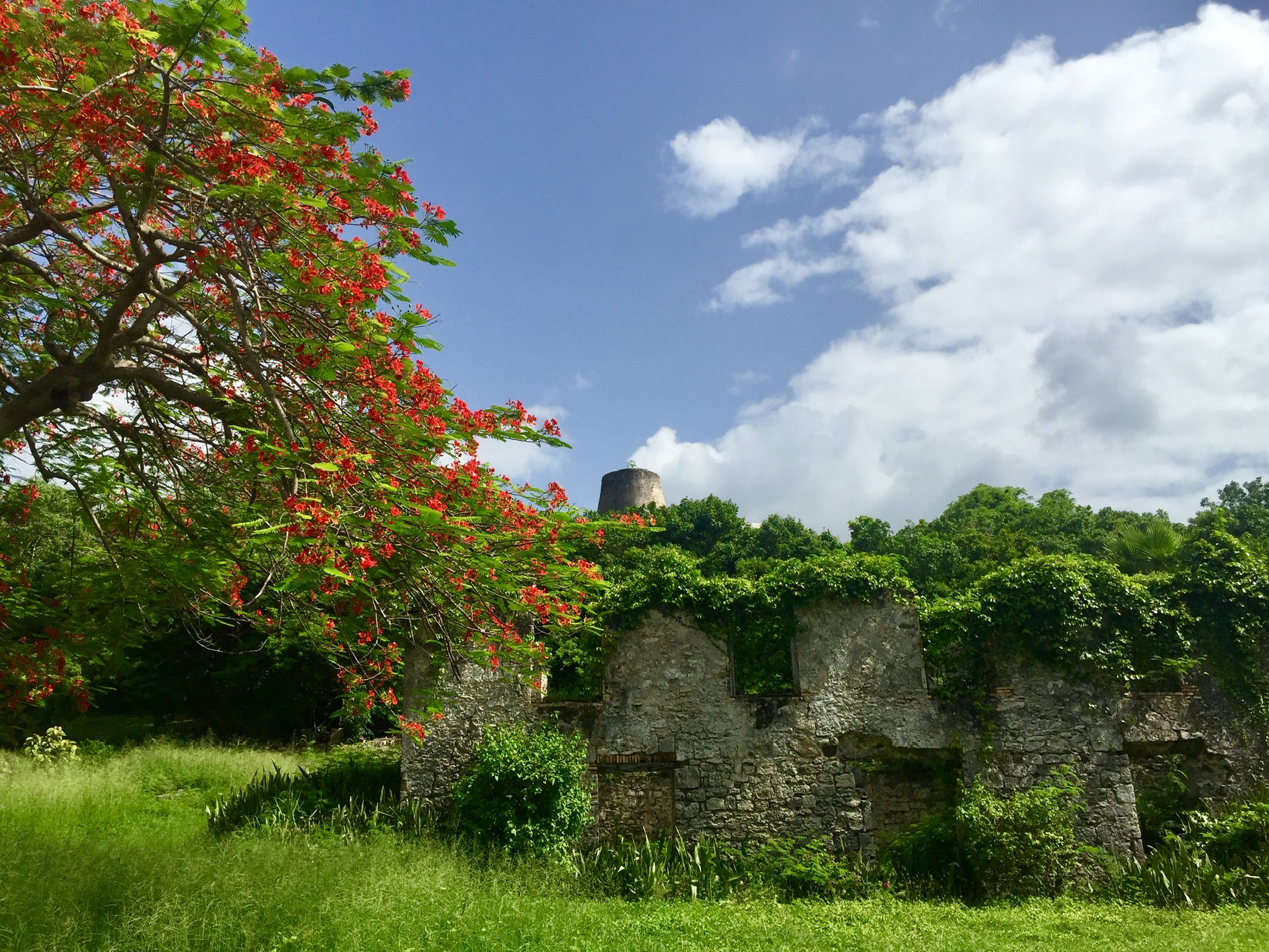 King Quarter St. Croix Real Estate Guide | Sea Glass St. Croix RE