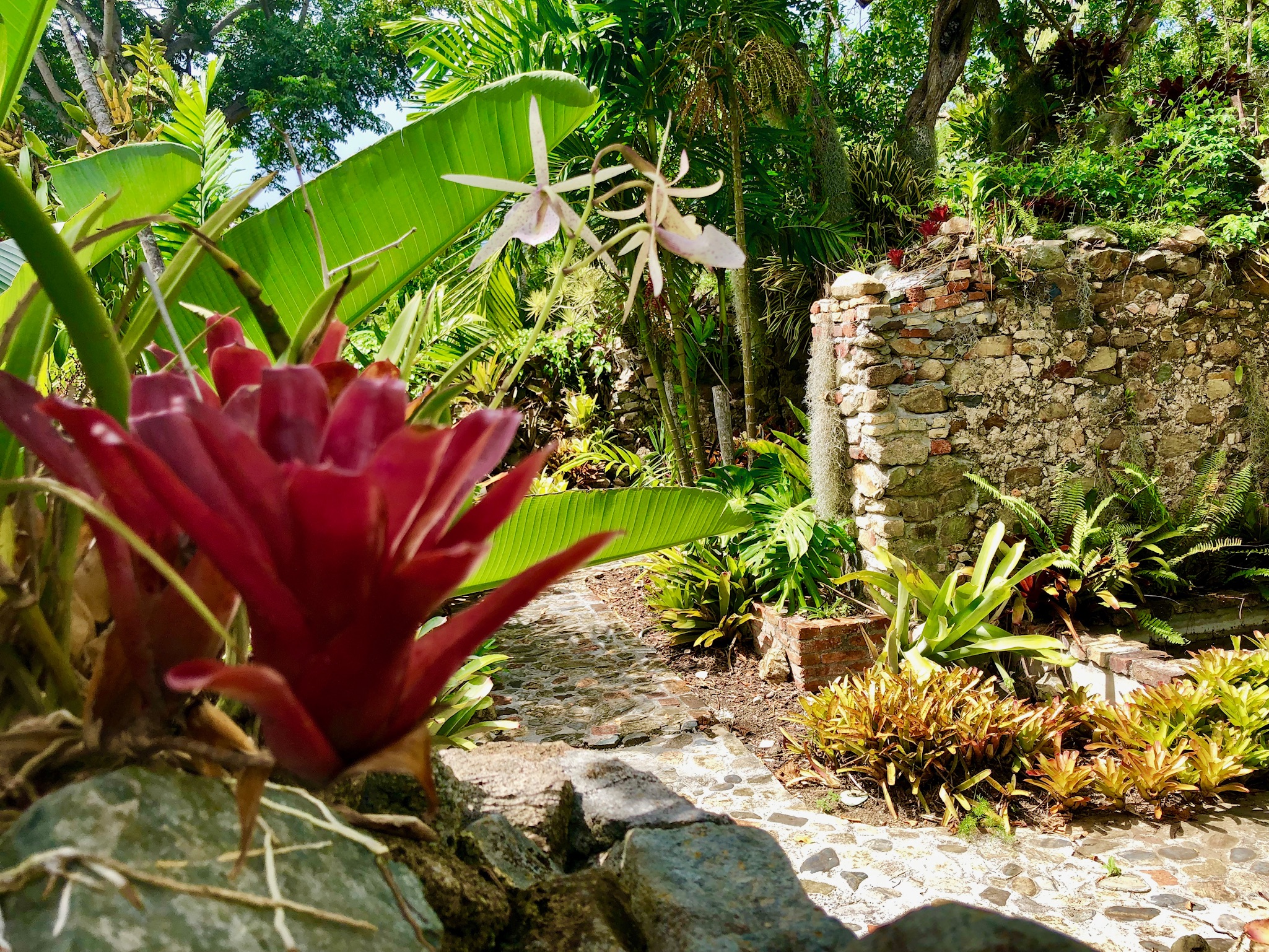 Queen Quarter St. Croix Real Estate Guide | Sea Glass St. Croix